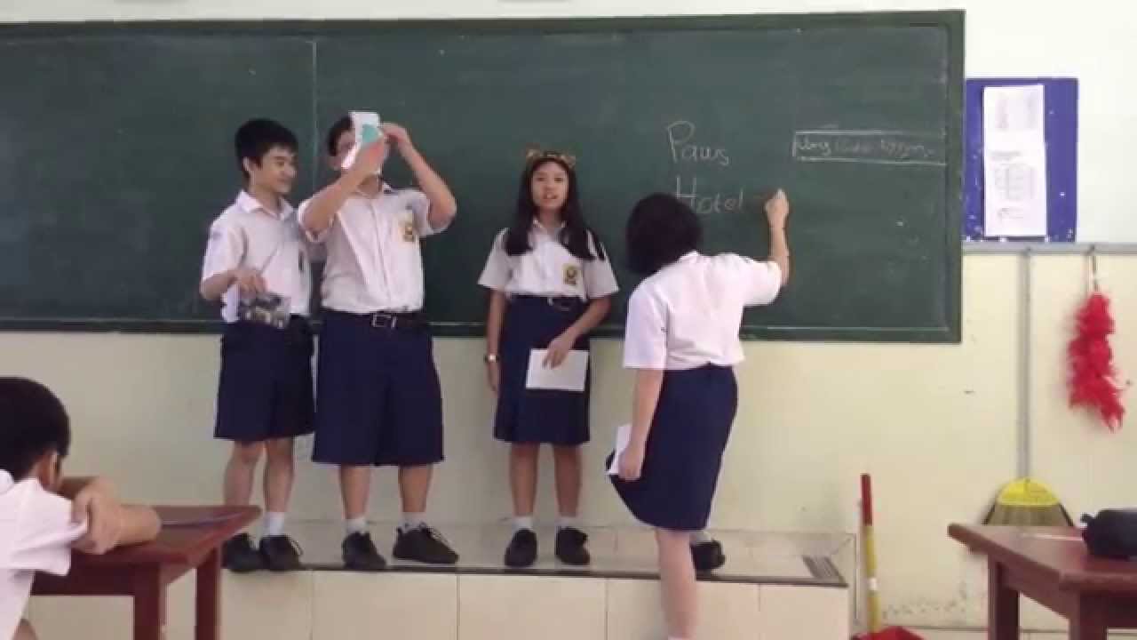 Vanya - Felicia - William - Aldrich "Paws Hotel" - YouTube