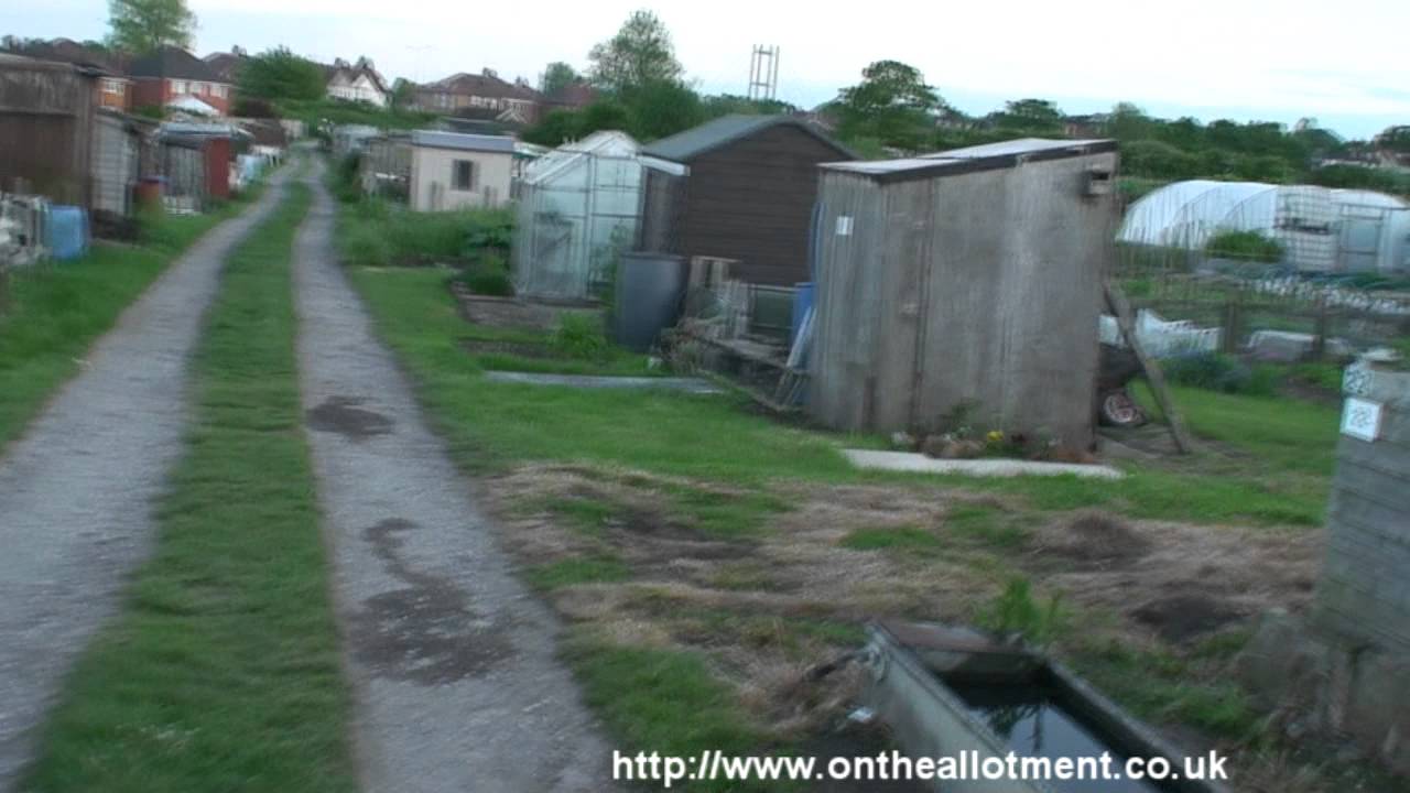 A Walk down the Boothferry Road, Hessle Allotments - YouTube