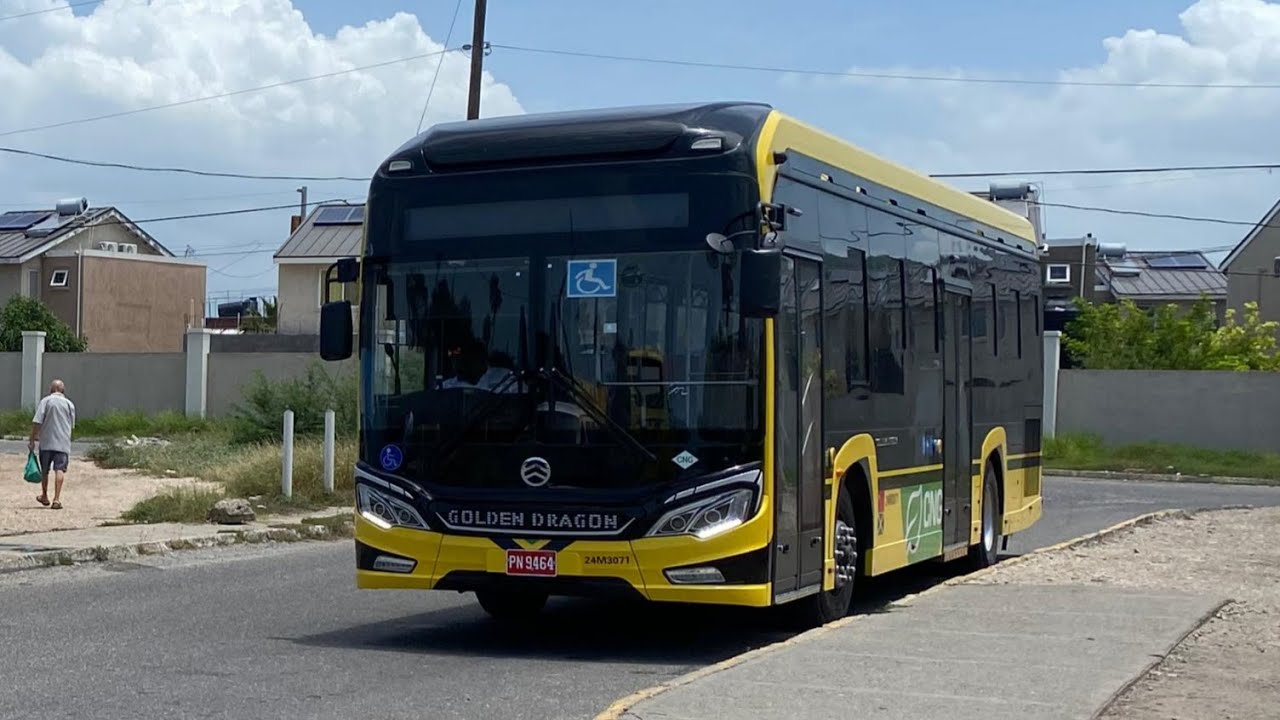 [Jamaica's Prettiest Bus?] JUTC 2024 Golden Dragon XML6125J13CN "NAV12 ...