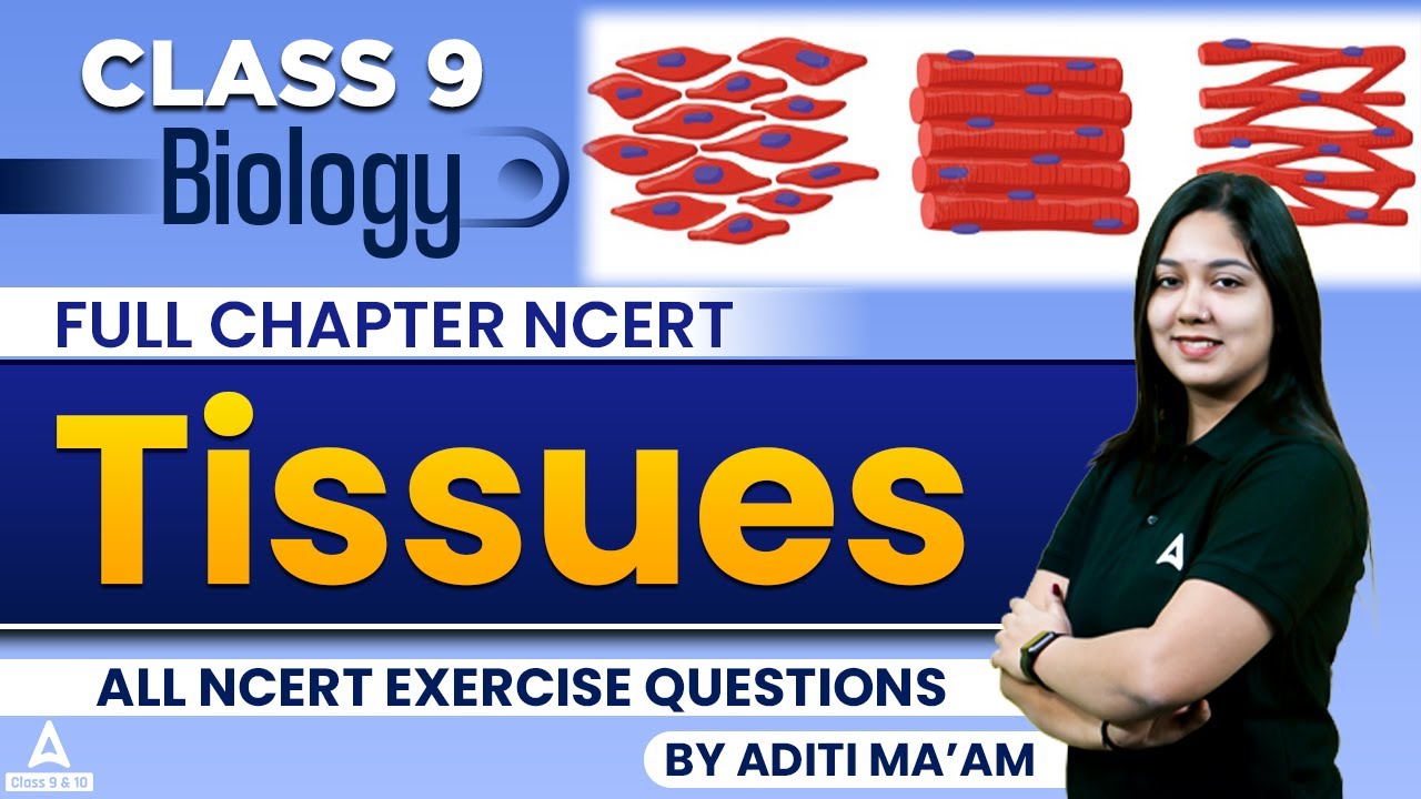 Tissues | Class 9 Biology | Ncert Exercise Questions Of Tissues - YouTube