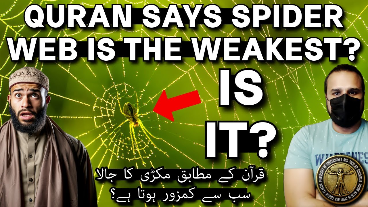 Quran Says Spider Web is the Weakest | IS IT? - YouTube