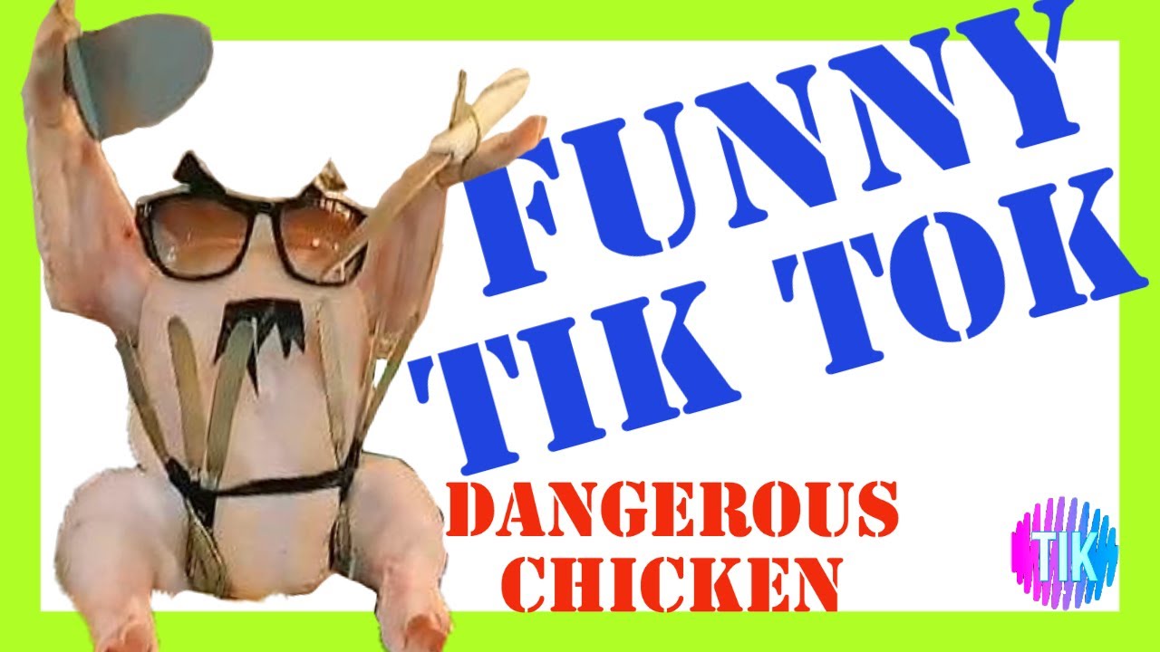 MEJORES Tik tok DIVERTIDOS y GRACIOSOS🙌 🙌.[🆘 POLLO PELIGROSO🆘 ]😍 Videos ...