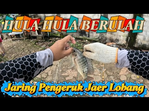 Jaring Hula Hula berulah lagi setu - YouTube