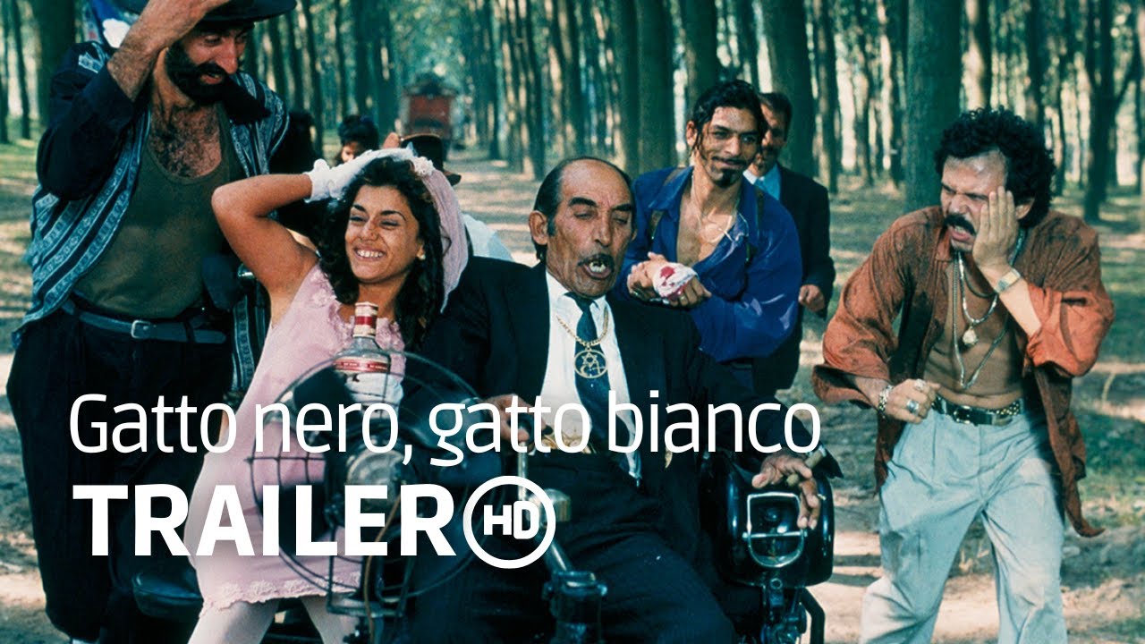 Gatto nero gatto bianco (1998) - TRAILER ITALIANO - YouTube