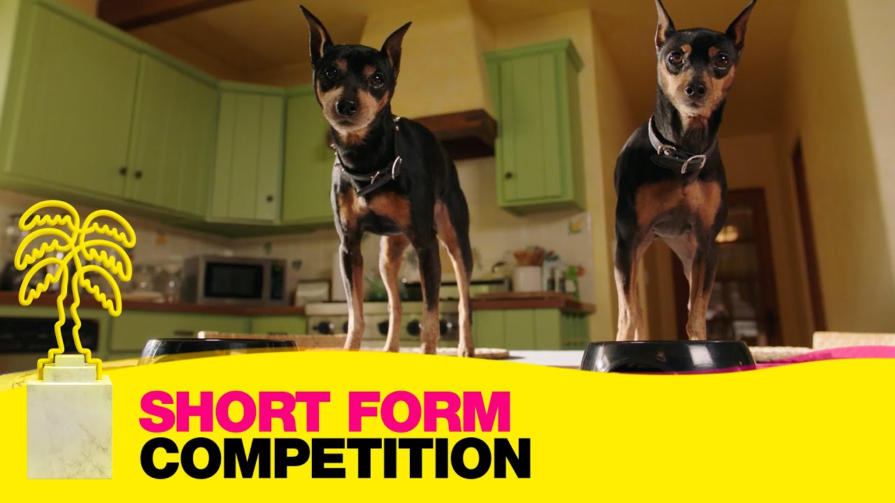 Golden Revenge - Short Form Competition - CANNESERIES - YouTube