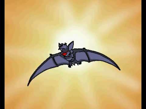 Vampire Bats Animation - YouTube
