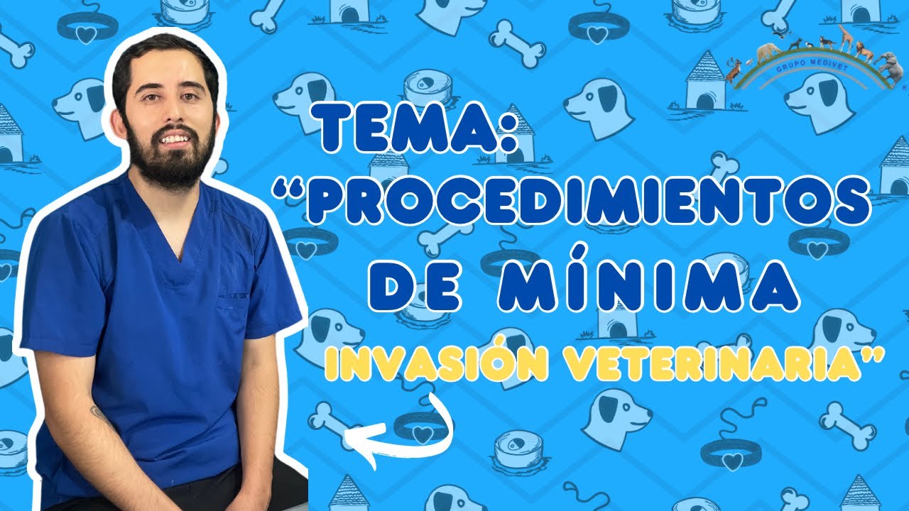 Meditips- MVZ. Víctor Bejar “Procedimientos de mínima invasión ...