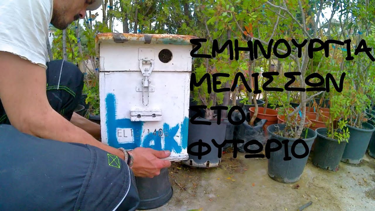 Η ΣΜΗΝΟΥΡΓΙΑ ΞΕΚΙΝΗΣΕ 2023🍇 🐝 🌳 - YouTube