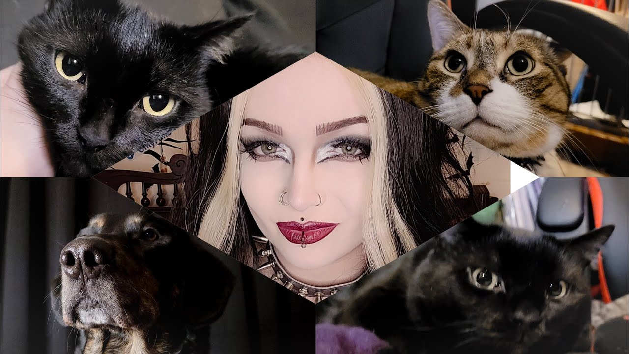 Meet My Fur Children - YouTube