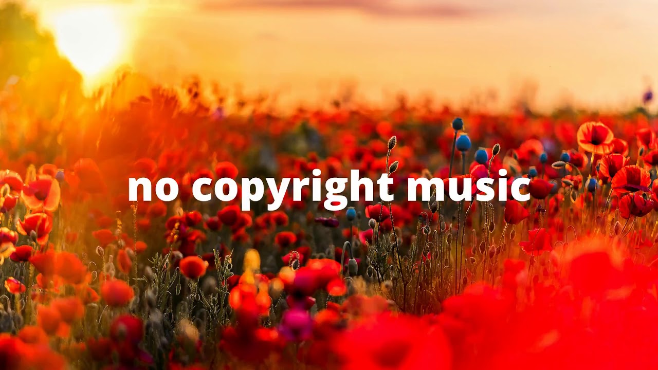 vexento - sad robots (vlog no copyright music) - YouTube