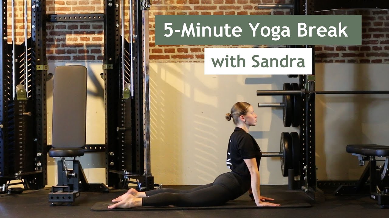 5 Minute Yoga Break - YouTube