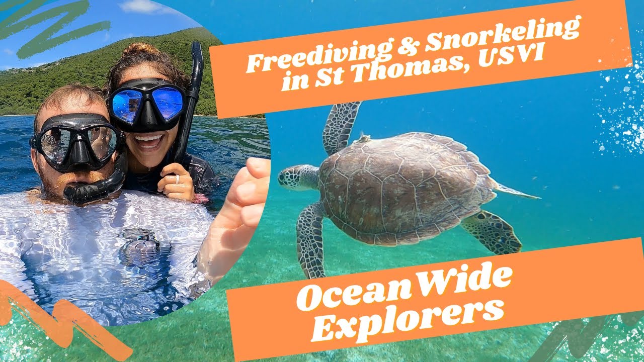 Freediving and Snorkeling with Sea Turtles in Brewer's Bay on Saint ...