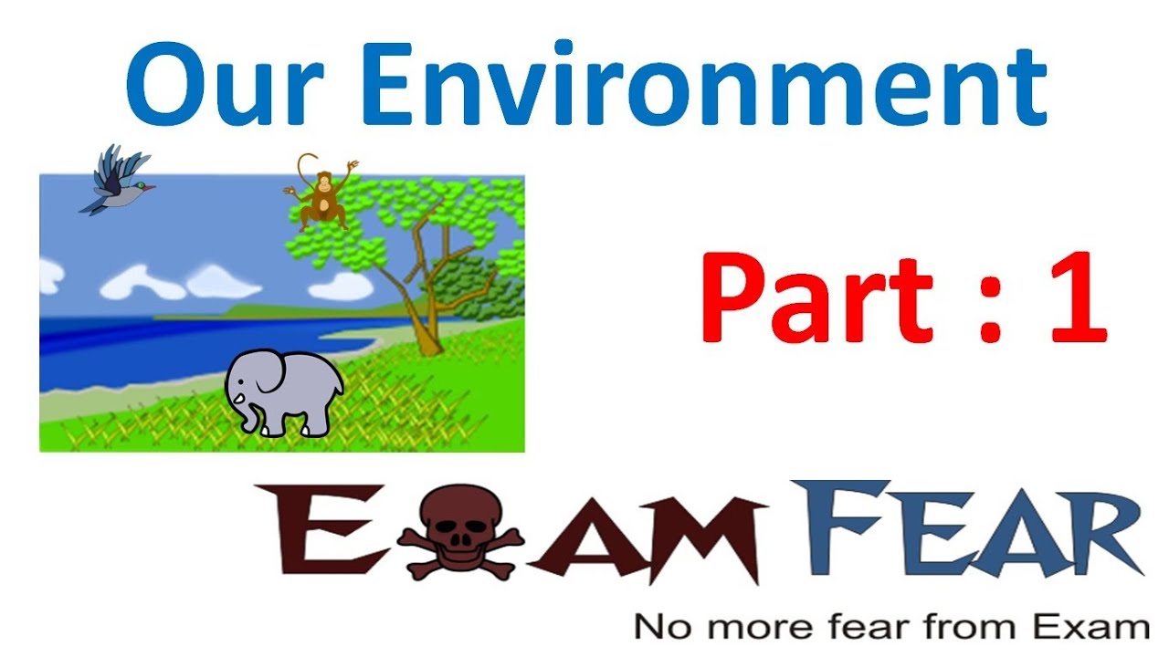 Biology Our Environment part 1 (Introduction) CBSE class 10 X - YouTube