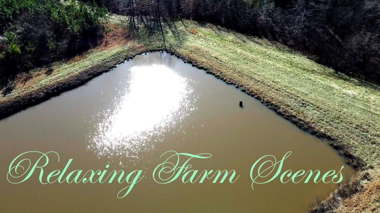 Relaxing Farm Scenes set to Classical music (time lapse and drone ...