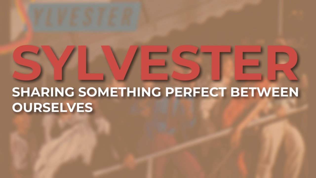 Sylvester - Sharing Something Perfect Between Ourselves (Live ...