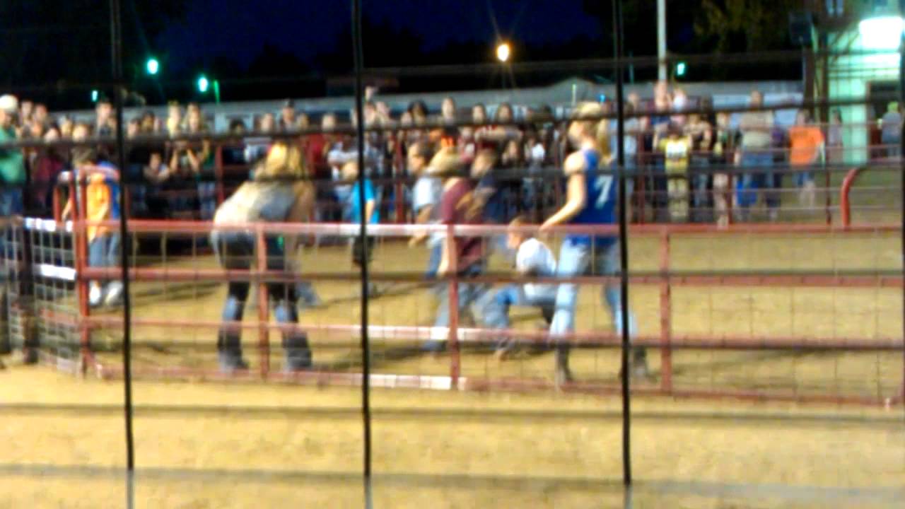 Pig Scramble - YouTube