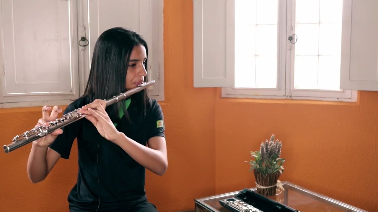 Instrumento Flauta