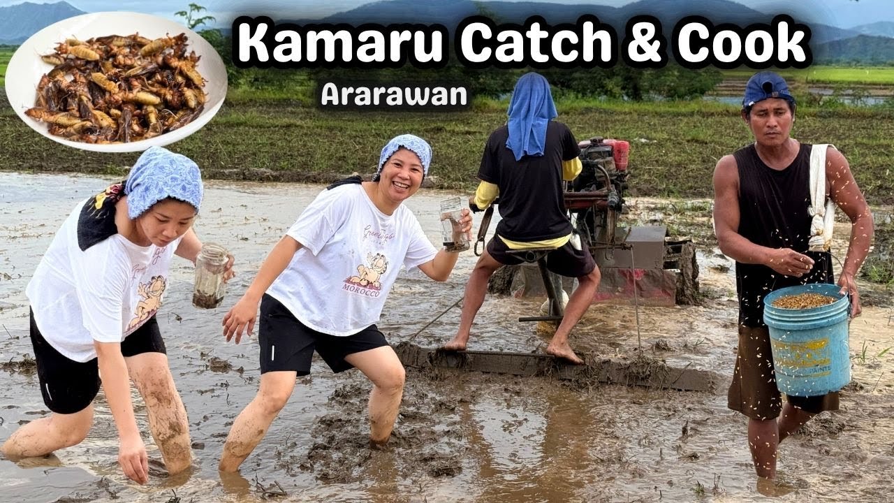 Namulot ako ng ararawan sa Bukid ! Kamaru Catch & Cook | PHILIPPINES ...