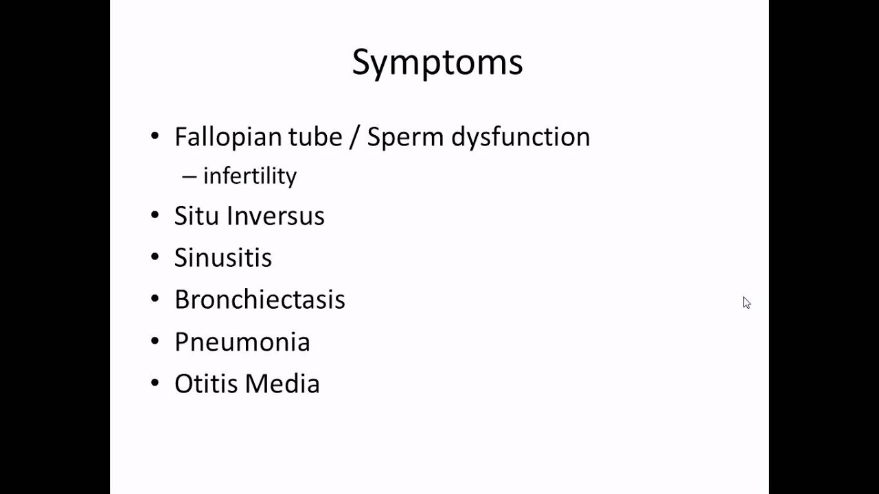 Kartagener Syndrome Ciliary Dyskinesia Primary Figure 3 from Primary ...