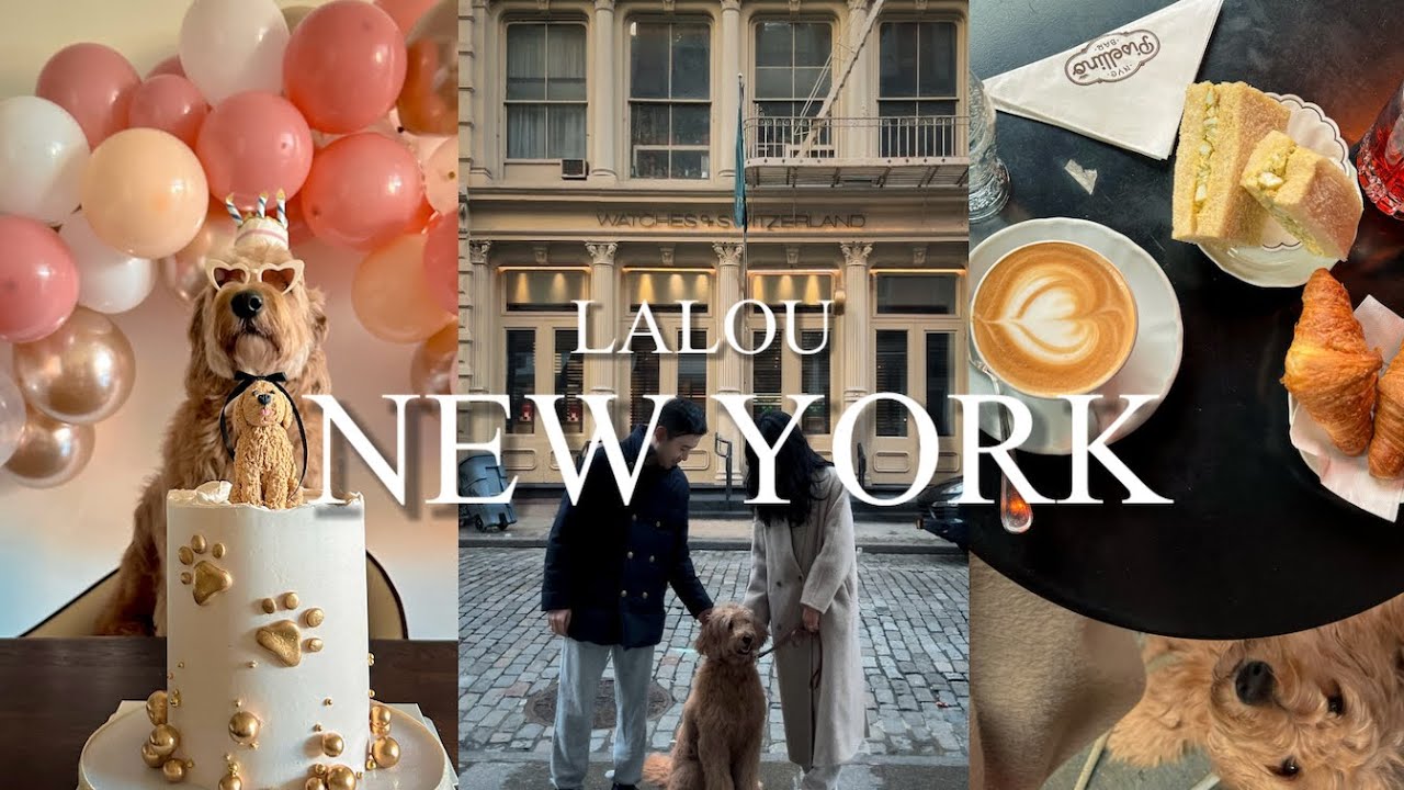 NYC Vlog | Week in my NYC life as a dog mom | NYC local favorite spots ...