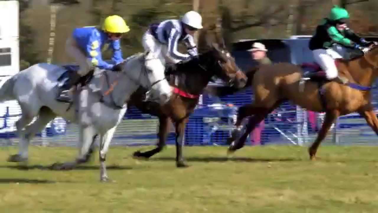 Godstone Pony Race 8-3-15 - YouTube