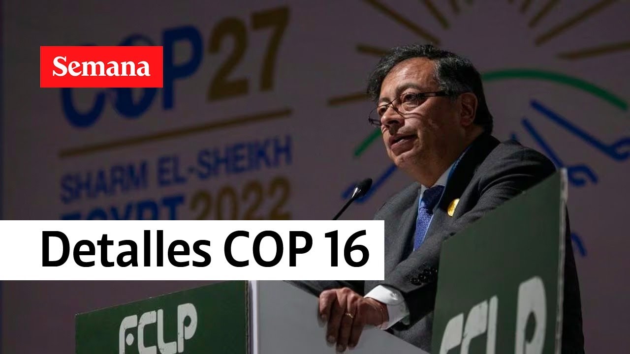 Atención: Gobierno revela la sede para la COP 16 - YouTube