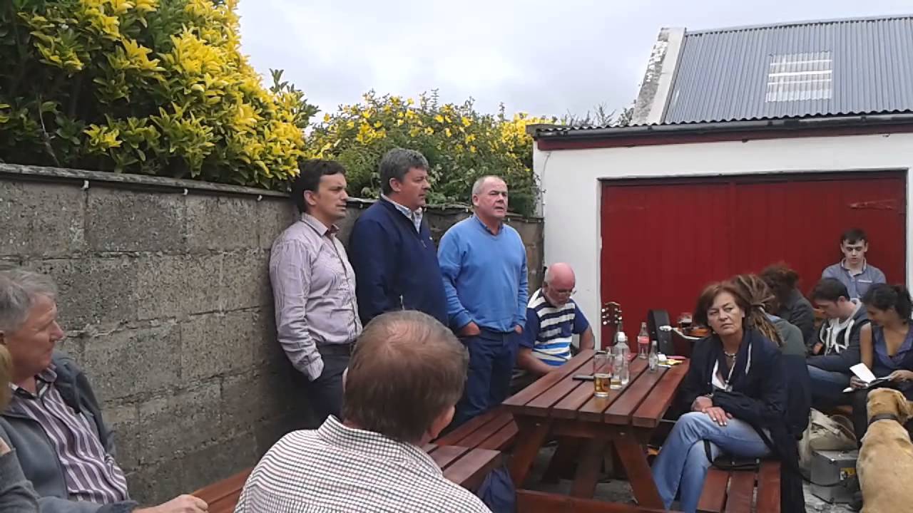 Singing at Willie Clancy week 2014 Cleary's (short) - YouTube
