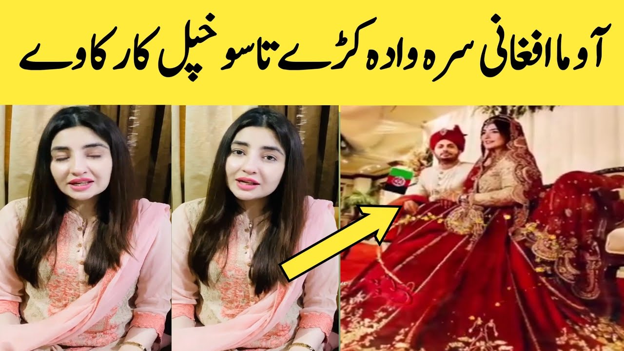 Gul Panra wedding Newe Updates || SJ world - YouTube