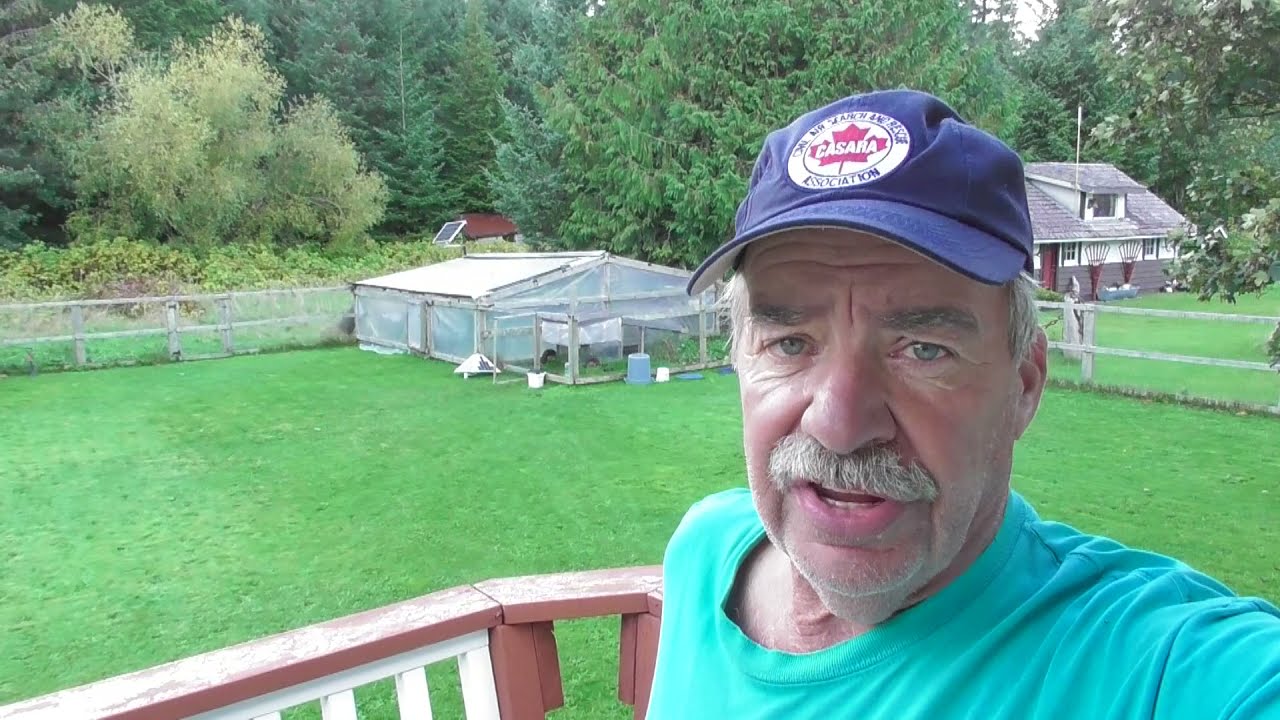 Dimplex Linear Convector Baseboard Heater 3 Year Update - YouTube