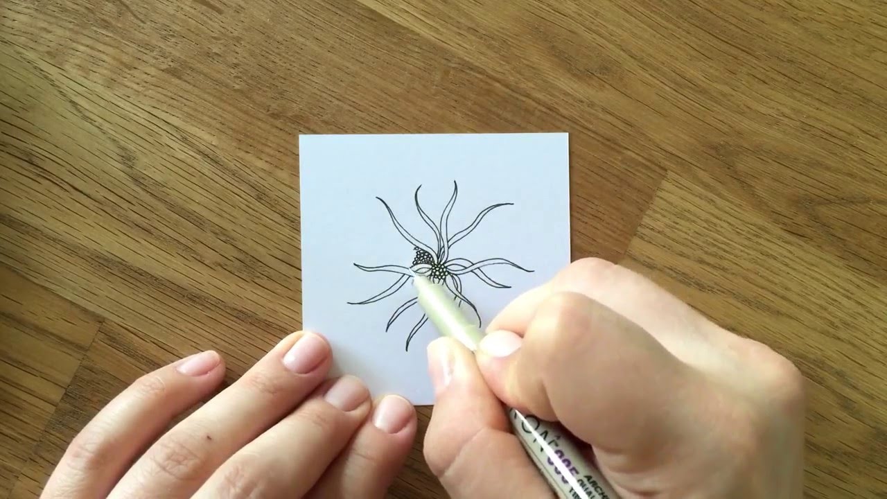 Zentangle® Muster: Squid - YouTube