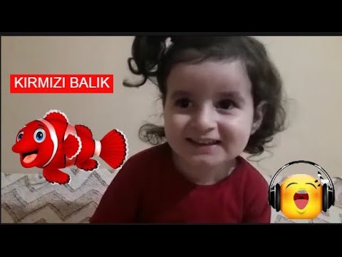 DÜNYANIN EN TATLI ALİ BABA VE KIRMIZI BALIK ŞARKISI | Eğlenceli Video