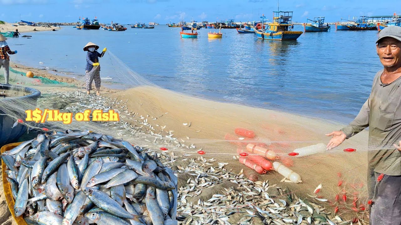 This fish is only 1$/1kg, they harvested it from the Vietnamese sea ...