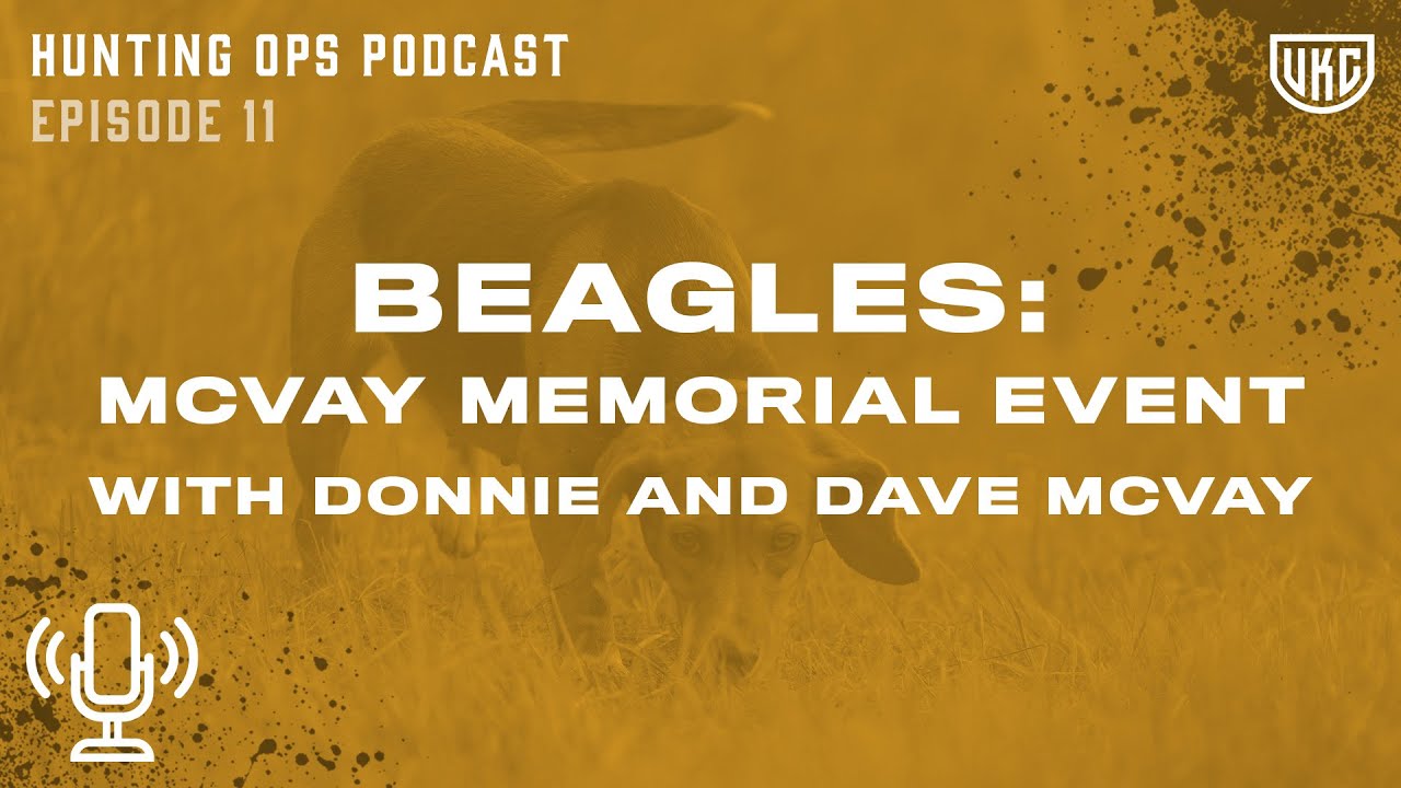 UKC Hunting Ops Podcast Ep. 11 - Beagles: McVay Memorial Hunt - YouTube