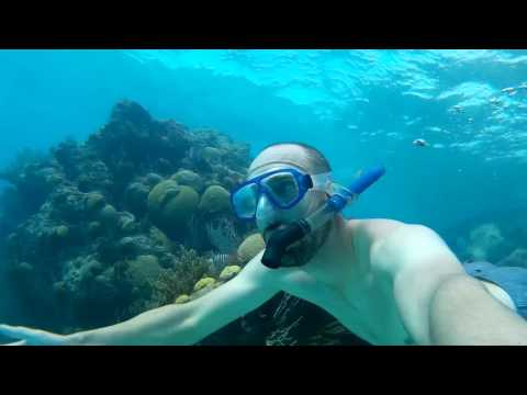 SJ 7000 Test Footage - Underwater - 1080p 30fps - Cheap Alternative to the Go Pro - Action Camera