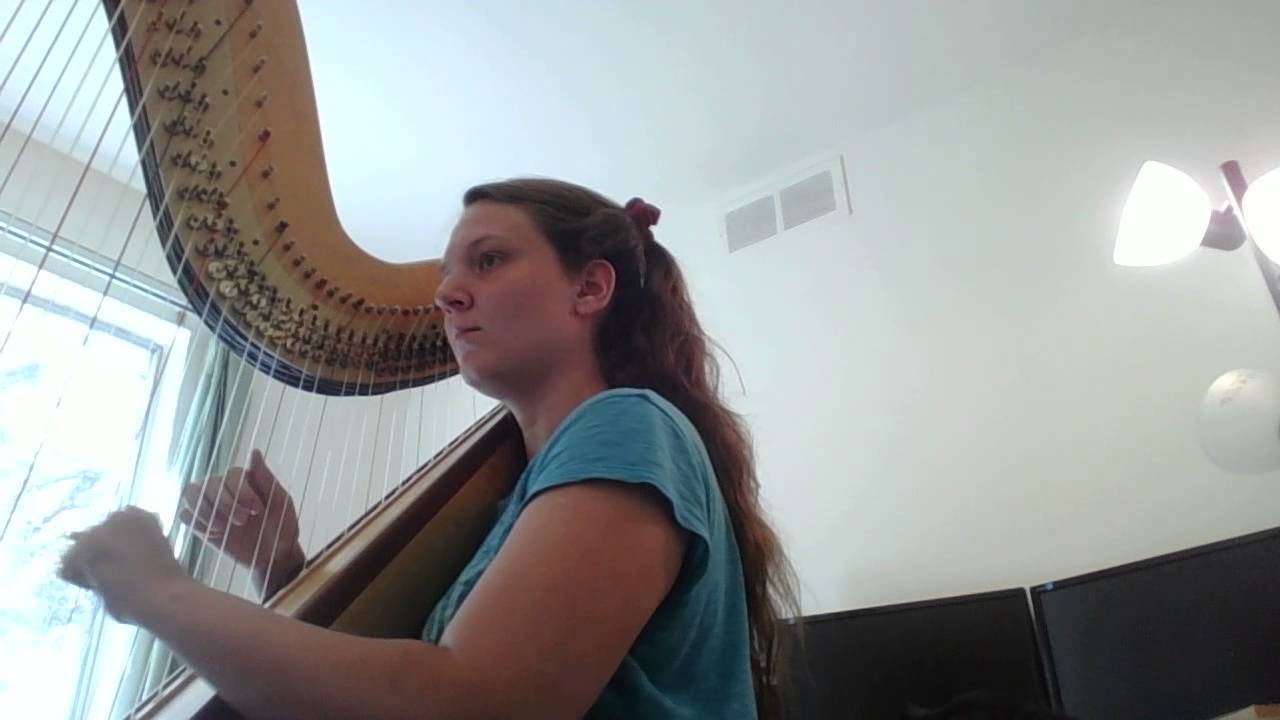You'll be in my heart (Disney) on harp - Michigan Harpist Chanah ...