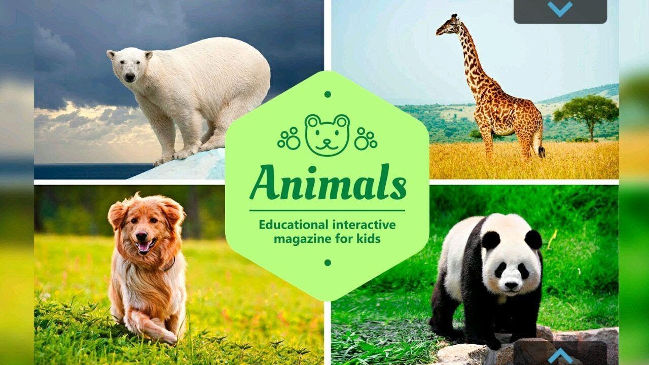 Animals. English Doman cards - Kids vocabulary - Learn English for kids ...