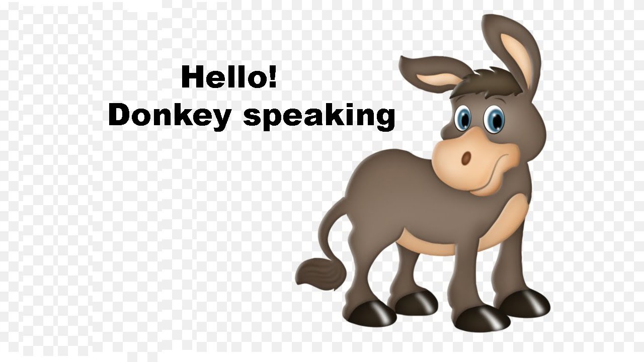 Hello! Donkey speaking - YouTube