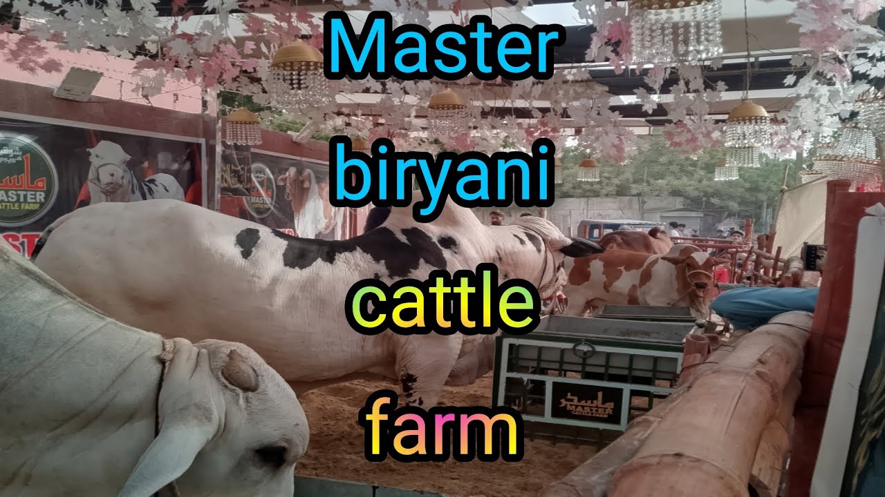 Master biryani cattle farm 🐄 Aya Aya master biryani walaaa Aya - YouTube
