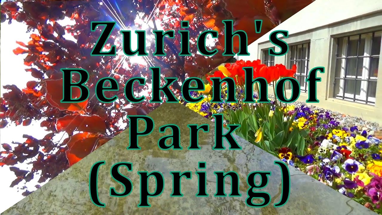 Zurich park Beckenhof (Spring): Little pearl in the heart of the city ...