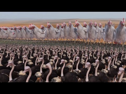 #uebs2 200000 Heavy knights vs 202000 Different Animals - YouTube