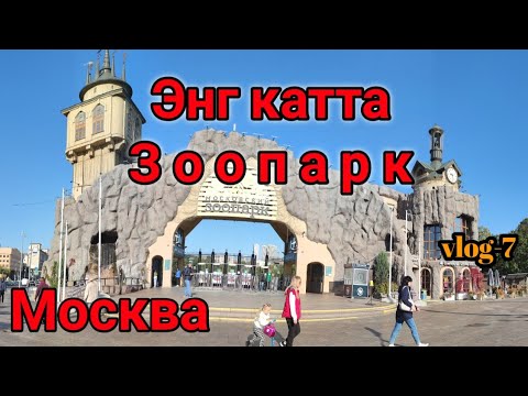 Moskvada eng katta Hayvonot bog'i | Московский Зоопарк | Хайвонот олами ...