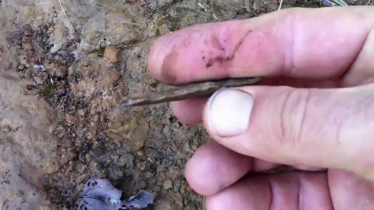 KILLER DAY ! Found 4 big sandy points , Stilwell point , pickwick point ...