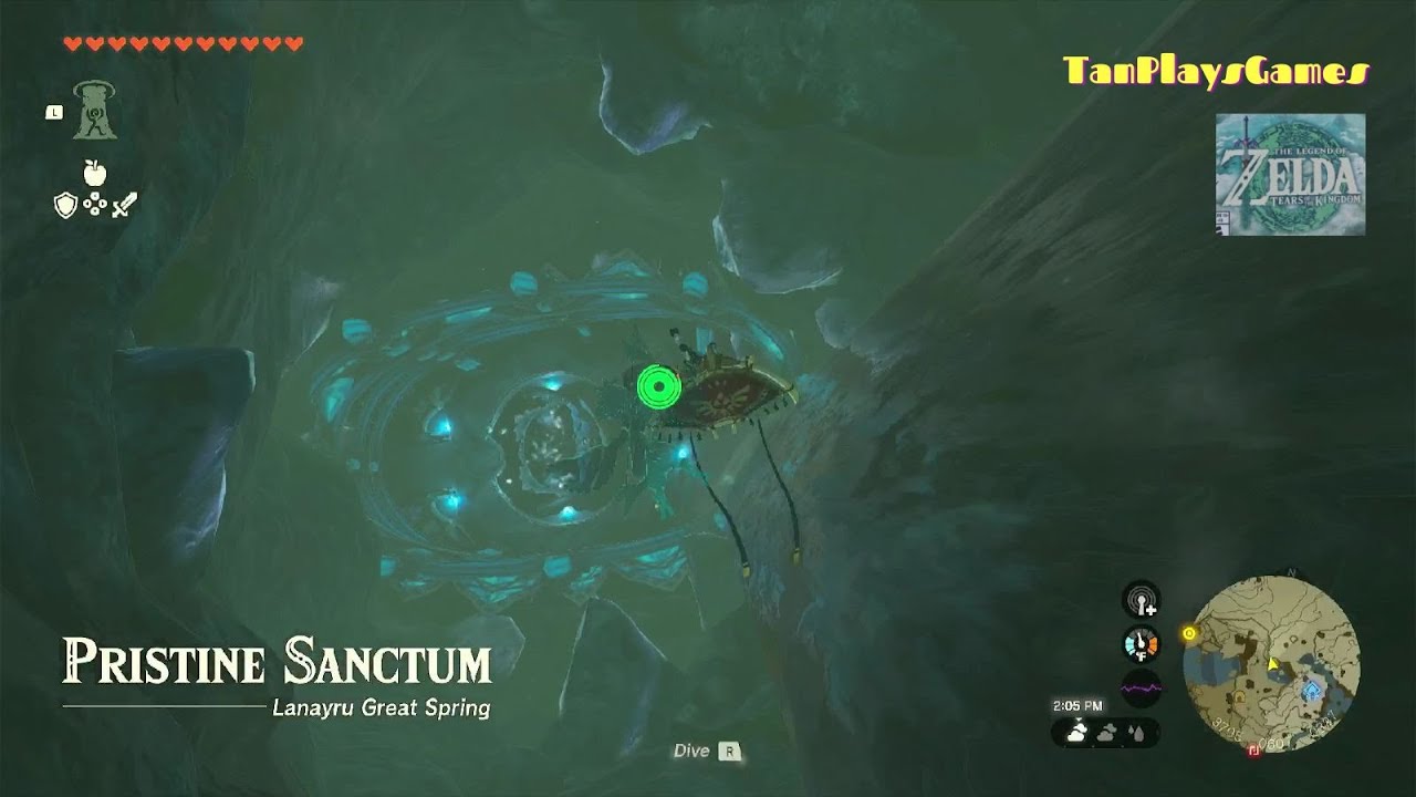 Pristine Sanctum BubbulFrog Location : Zelda Tears of The Kingdom ...