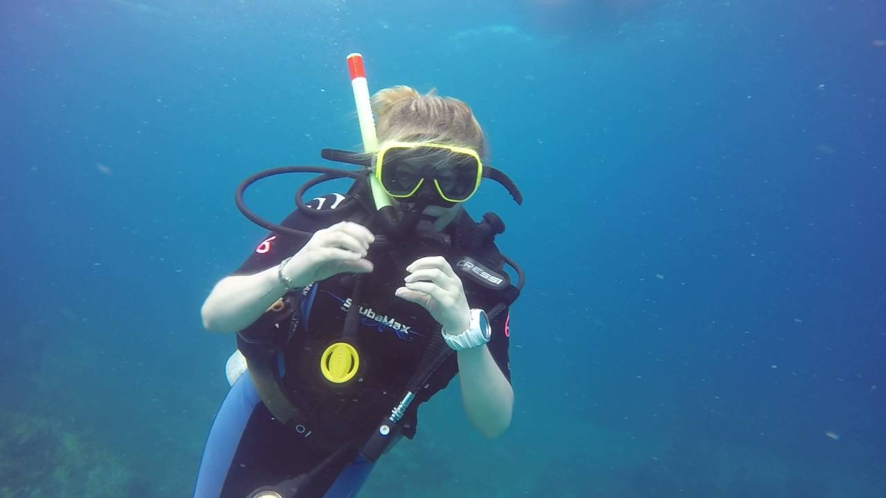 Turtle scuba sign - YouTube