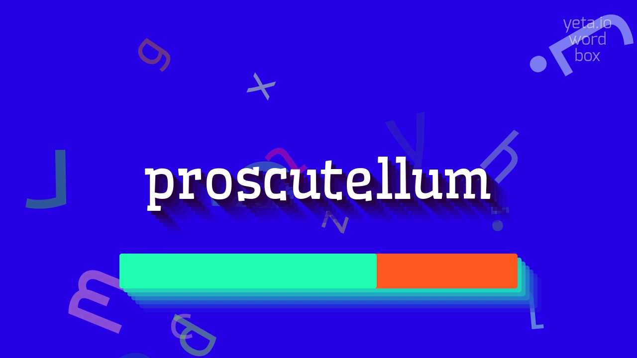 How to say "proscutellum"! (High Quality Voices) - YouTube