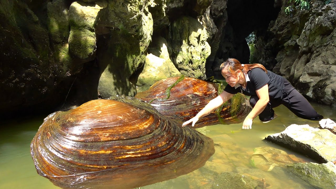 I found huge clams in the beautiful cave and opened them all. There are ...