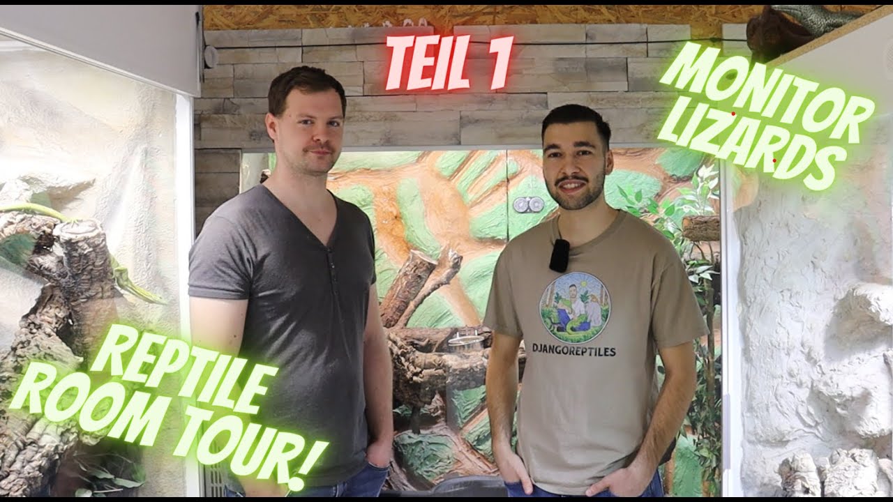 Reptile Room Tour mit Waranen Teil 1 | MONITOR LIZARD ROOM TOUR - YouTube
