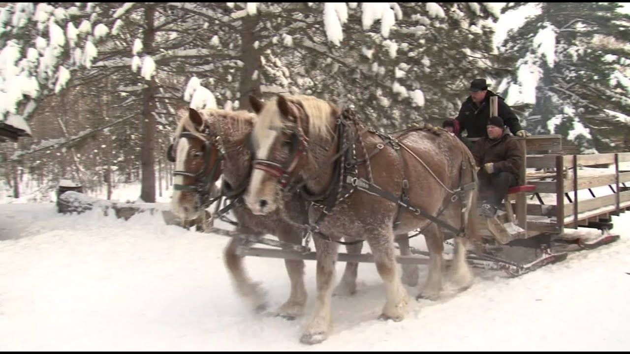 Northwoods Adventure Christmas in the Logging Camp - Lakeland News at ...