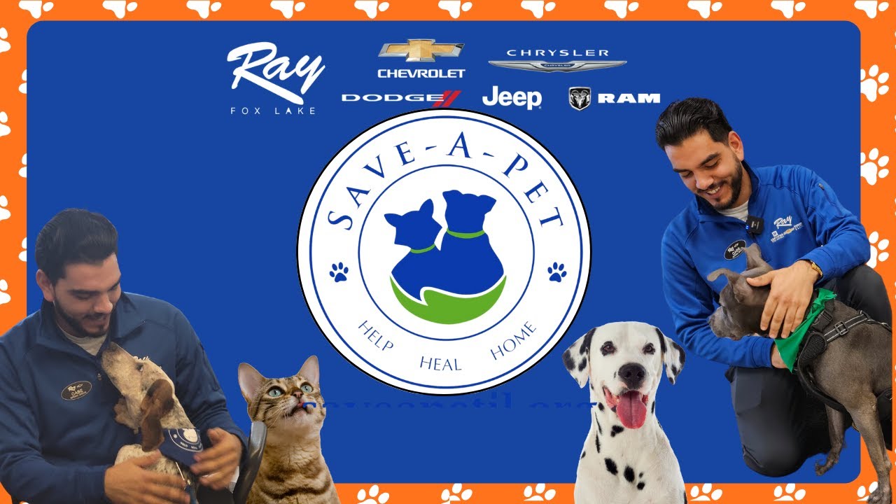 Ray Auto Group Teams Up With Save A Pet - YouTube
