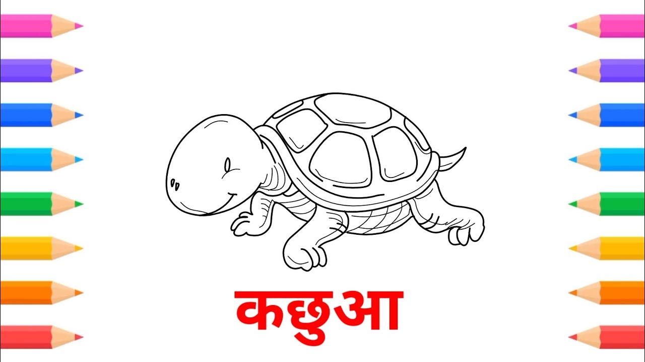 drawing animals with kachhua - YouTube